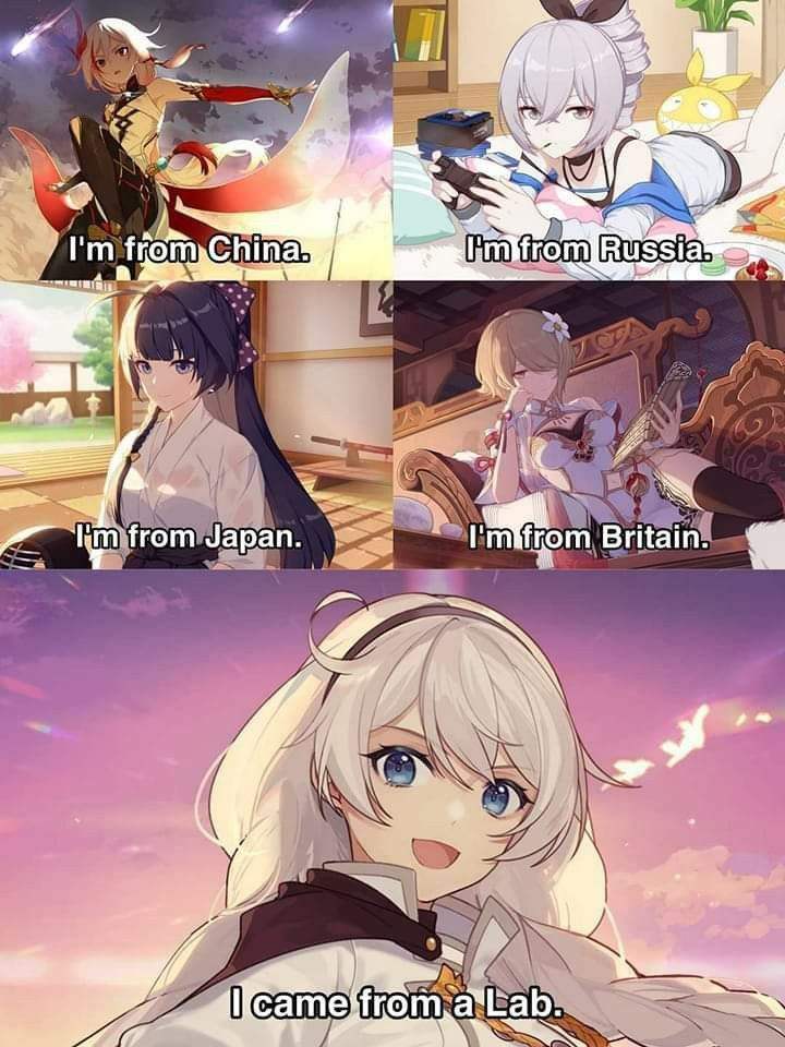 It's time for Honkai Impact Memes Honkai Impact 3rd | HoYoLAB