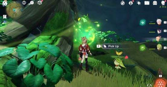 Sumeru Rainforest World Quest Collection Genshin Impact | HoYoLAB