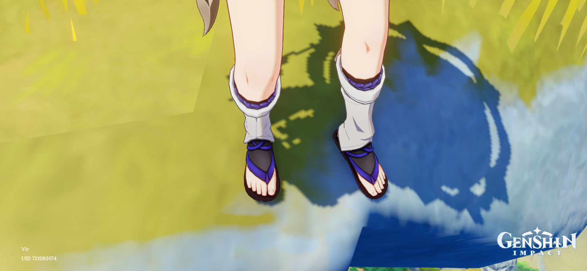 feet. Genshin Impact | HoYoLAB