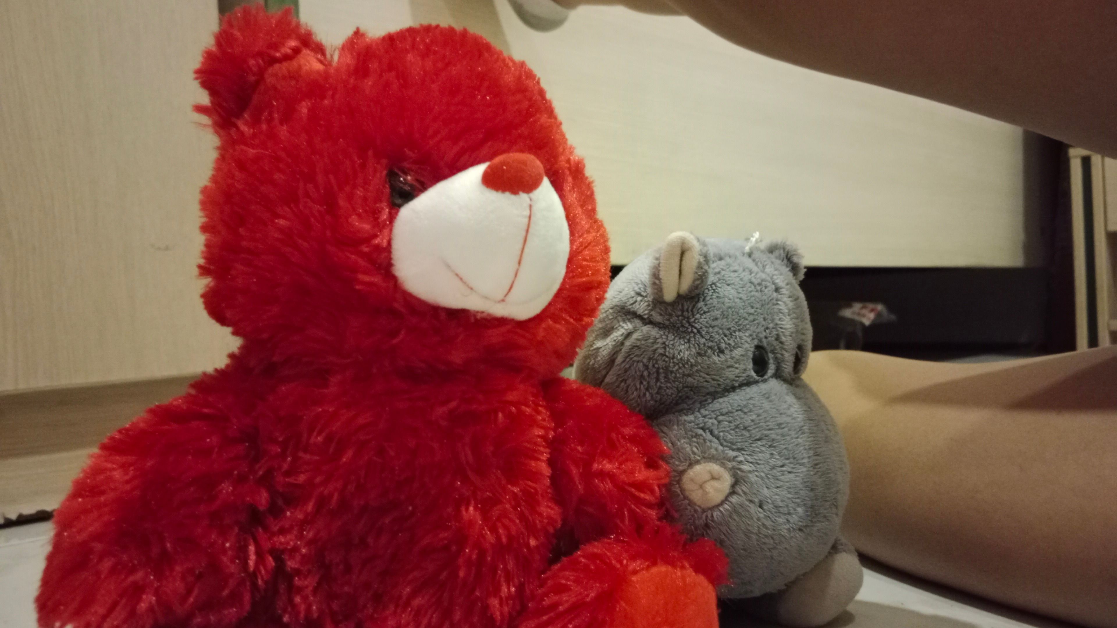 I got a new teddy!(left) Genshin Impact | HoYoLAB