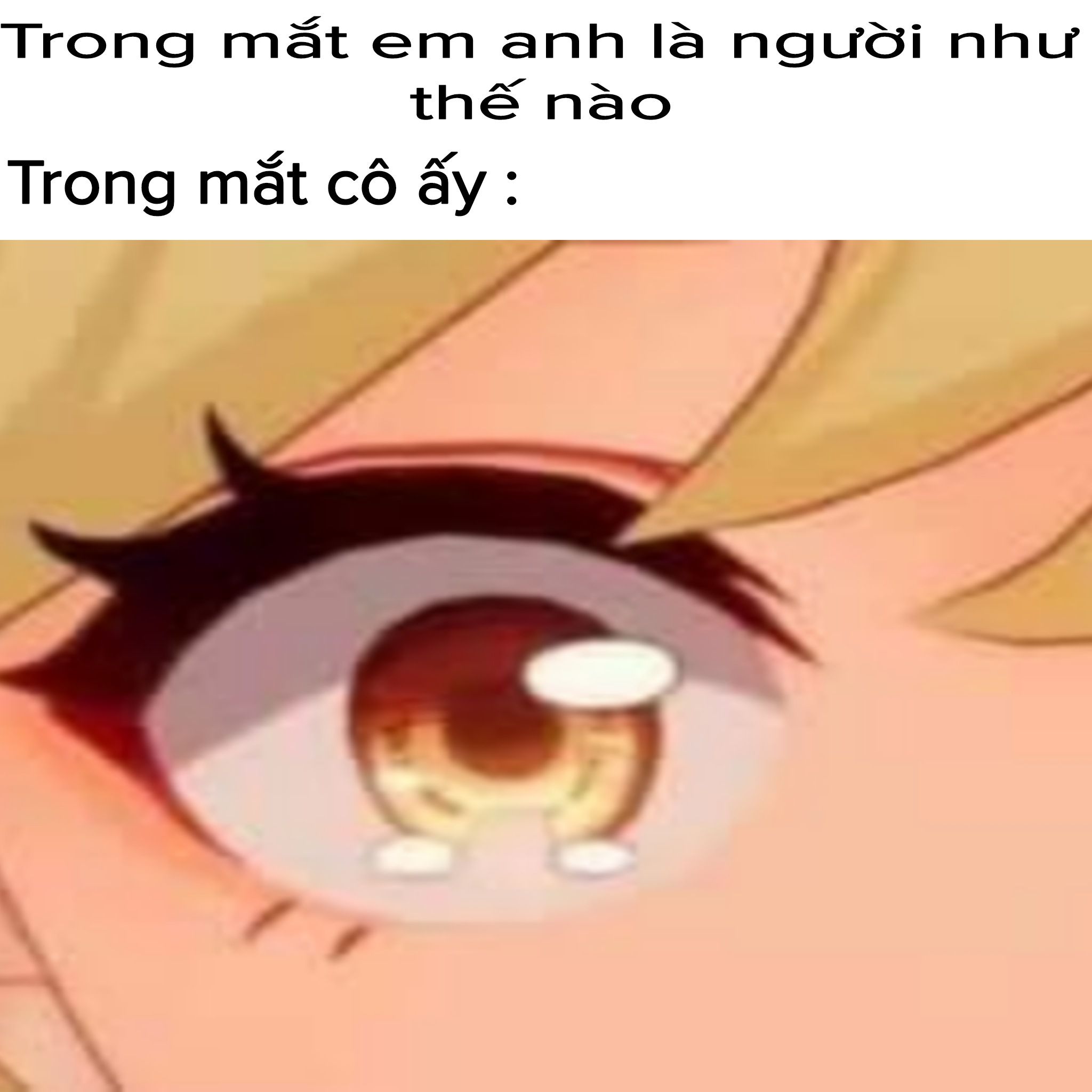 Sus Genshin Impact | HoYoLAB