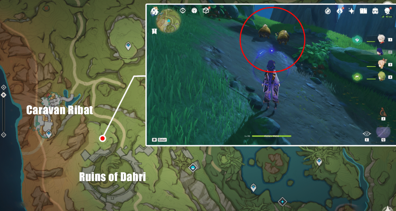 Sumeru Hidden Quest| "A Short Encounter with a Rare Bird" Detailed ...