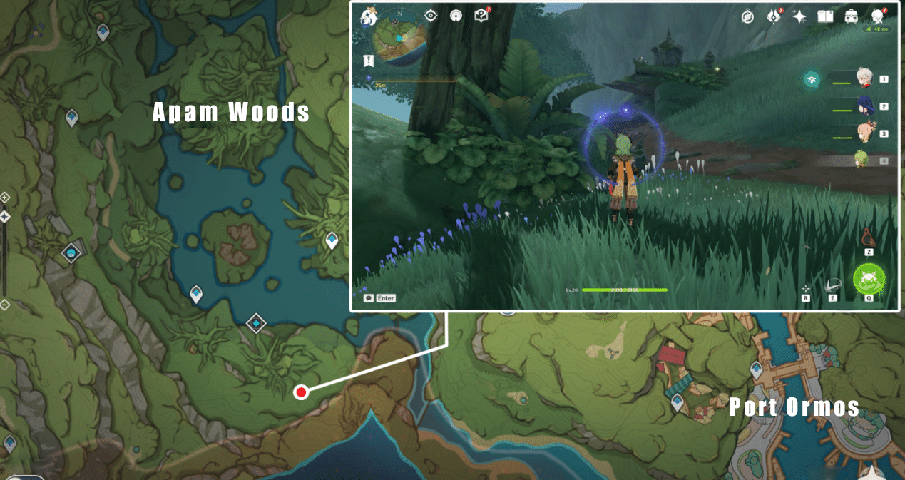 Sumeru Hidden Quest| "A Short Encounter with a Rare Bird" Detailed ...