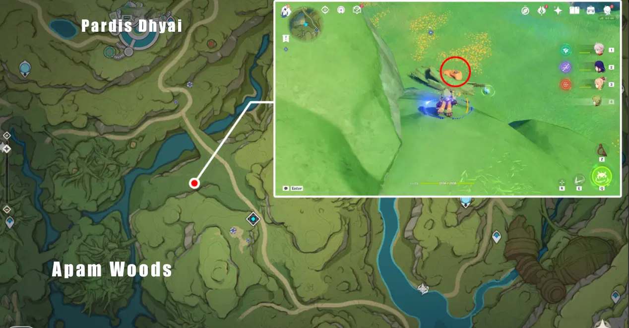 Sumeru Hidden Quest| "A Short Encounter with a Rare Bird" Detailed ...