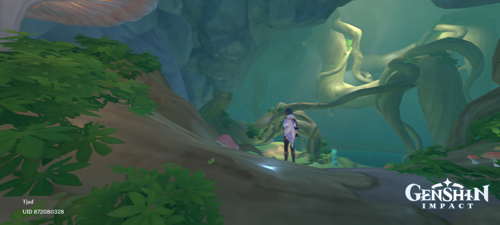 Chasm journey Genshin Impact | HoYoLAB