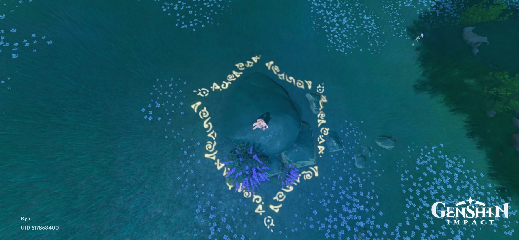 HELP!! Did I do this already?? Genshin Impact | HoYoLAB