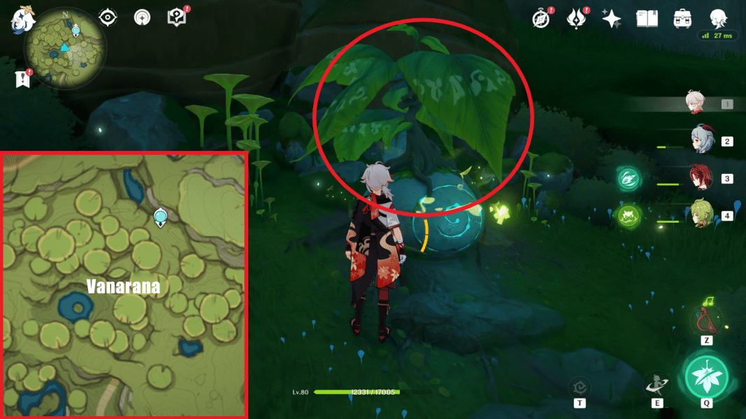 Sumeru Hidden Quest｜“Static Views” Detailed Guide Genshin Impact | HoYoLAB