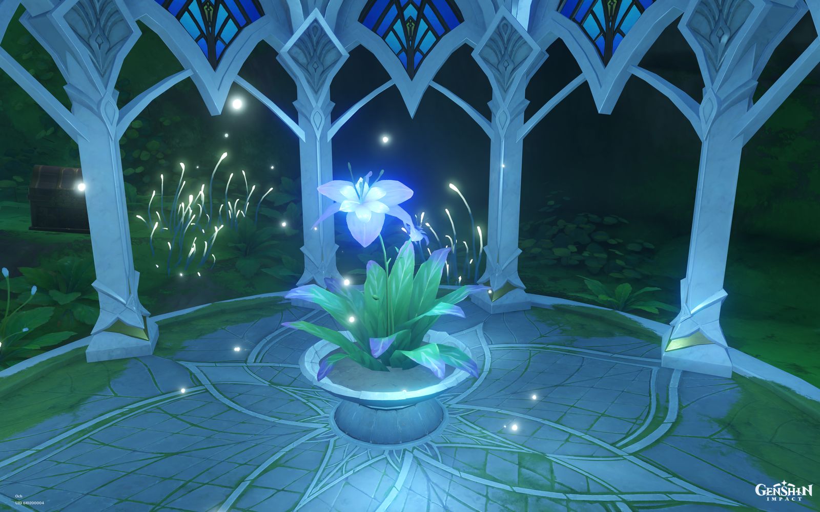 Sumeru Precious and Luxurious Chest near akademiya building Genshin ...