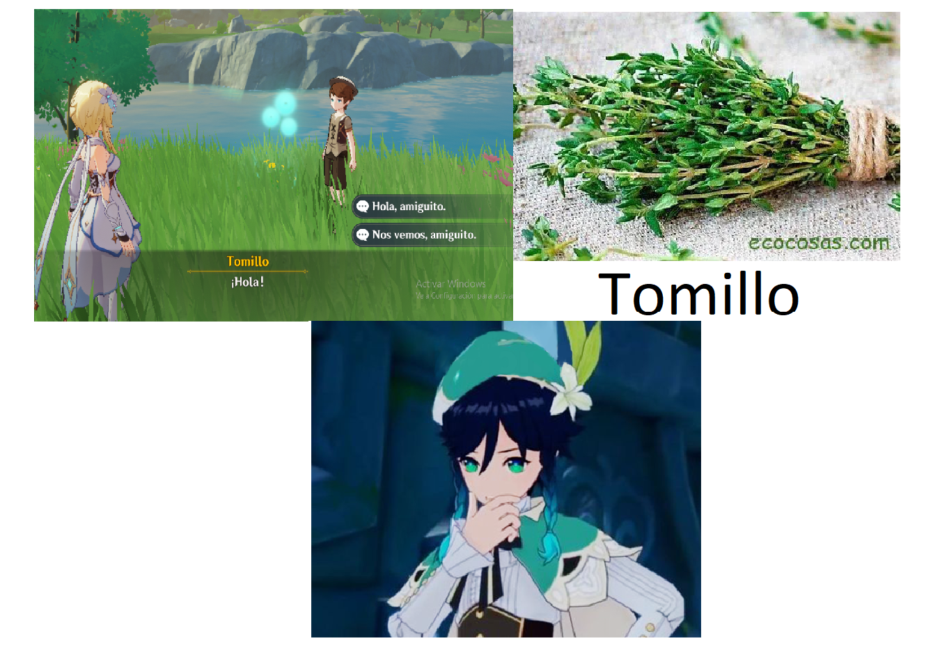 ¿Tomillo? Genshin Impact | HoYoLAB