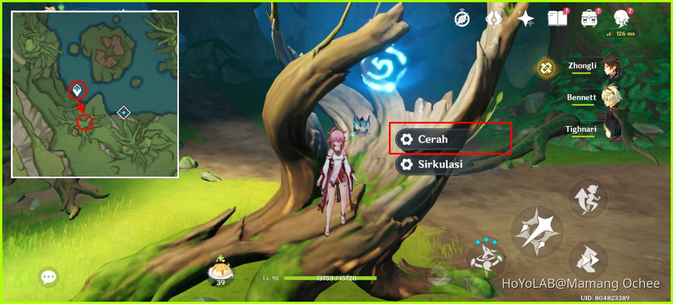 World Quest Pertemuan Singkat dengan Burung Langka - Quest Reputasi ...