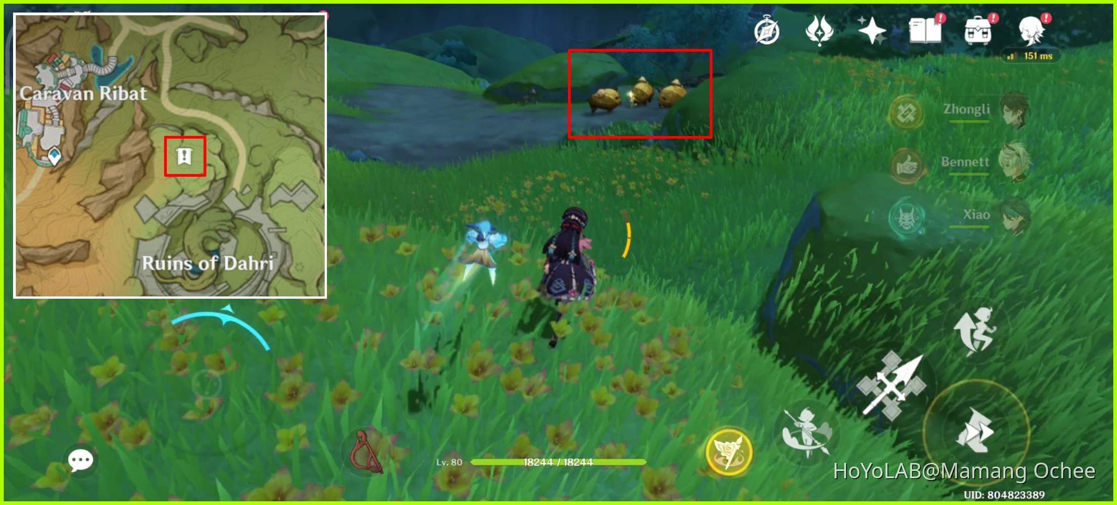 World Quest Pertemuan Singkat Dengan Burung Langka Quest Reputasi world-quest-pertemuan-singkat-dengan-burung-langka-quest-reputasi