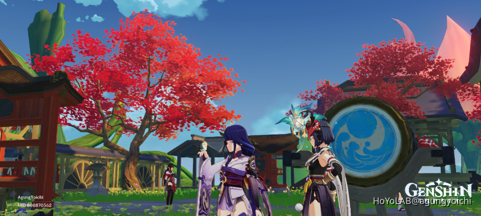 Raiden Ei Genshin Impact | HoYoLAB