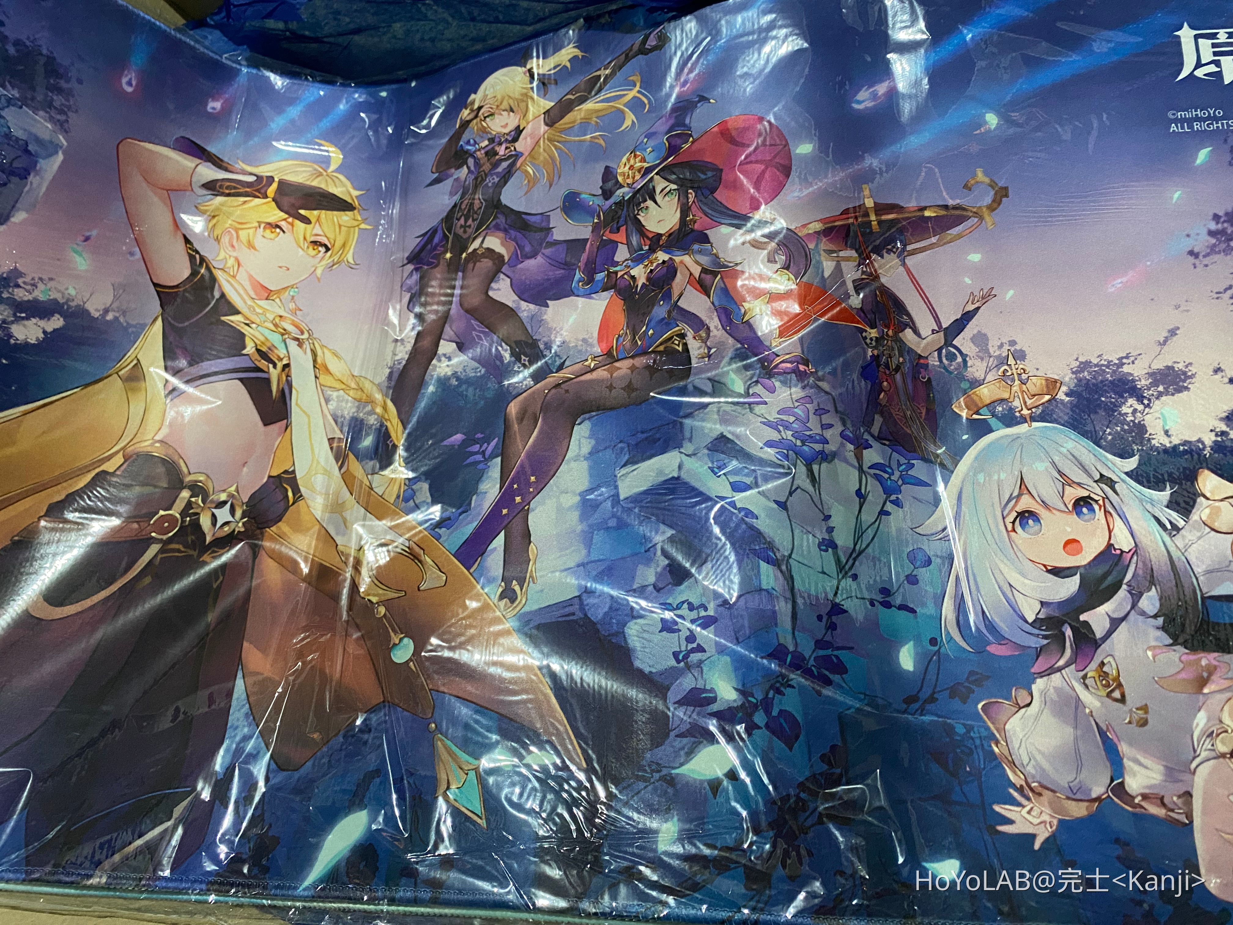 More official merch! Genshin Impact | HoYoLAB