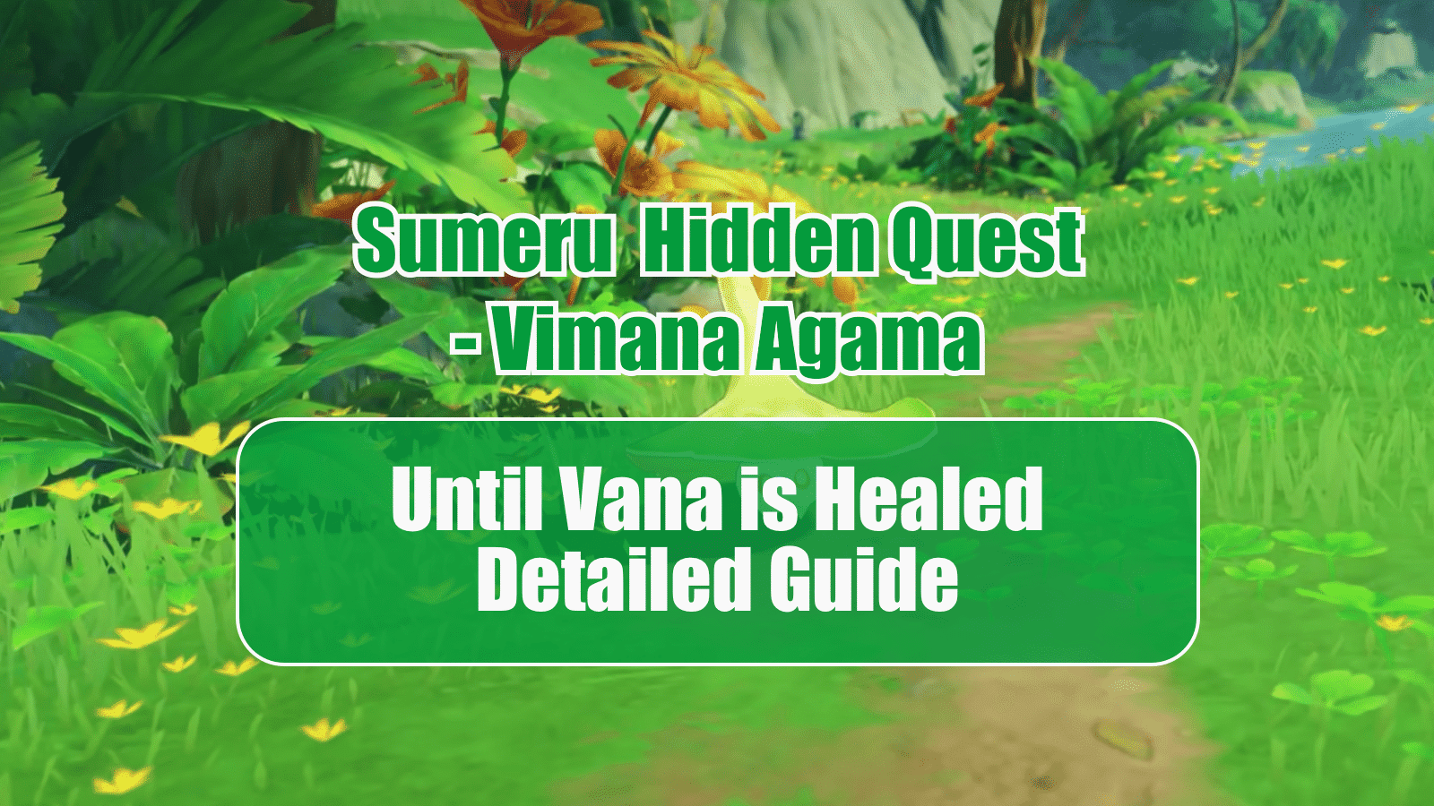 Sumeru Hidden Quest Collection | All You Want to Know Genshin Impact ...