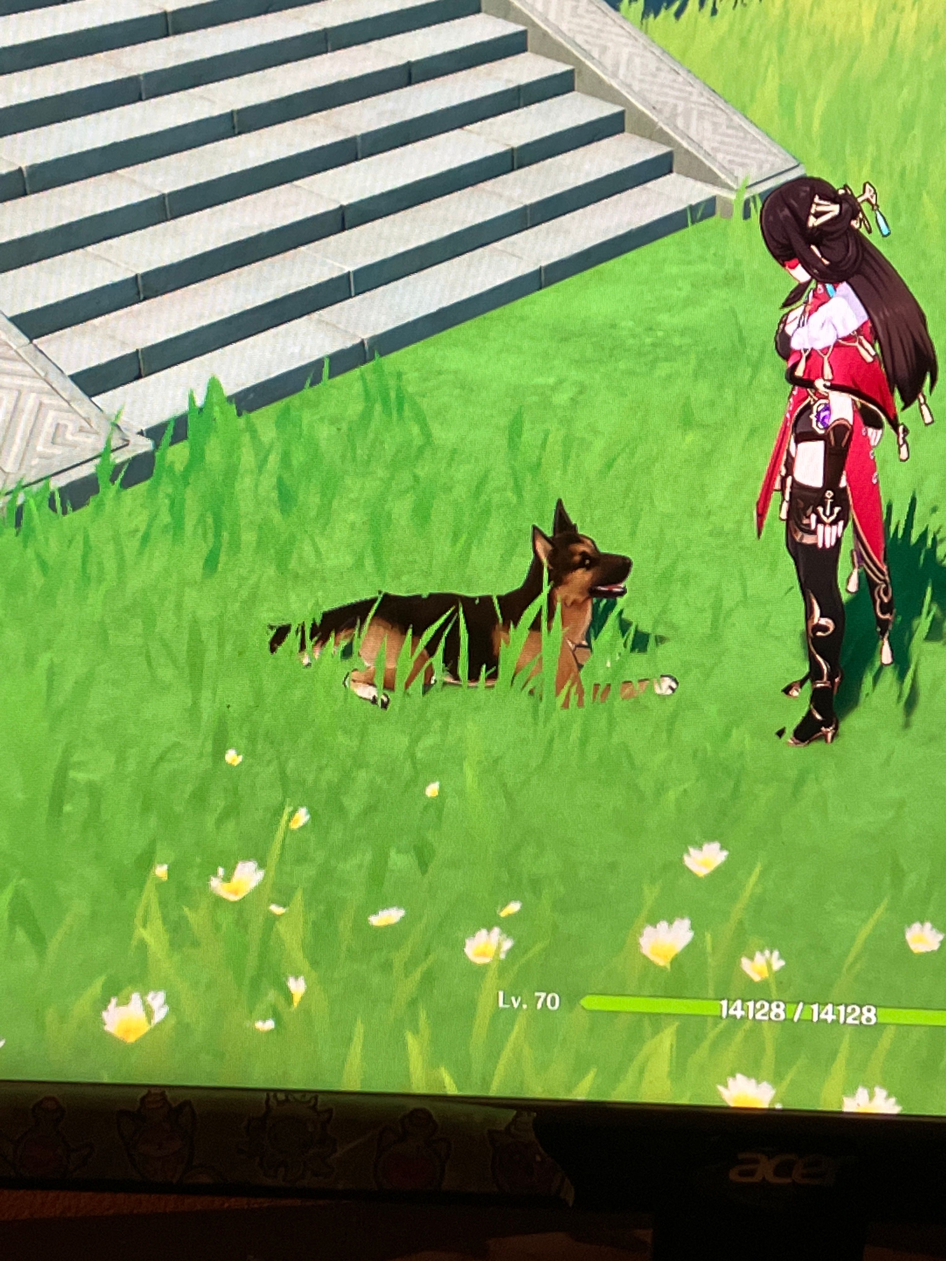 Let us pet the dogs Genshin Impact | HoYoLAB