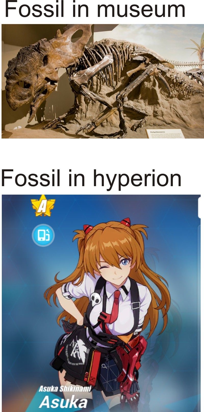 Like a fossil Honkai Impact 3rd | HoYoLAB