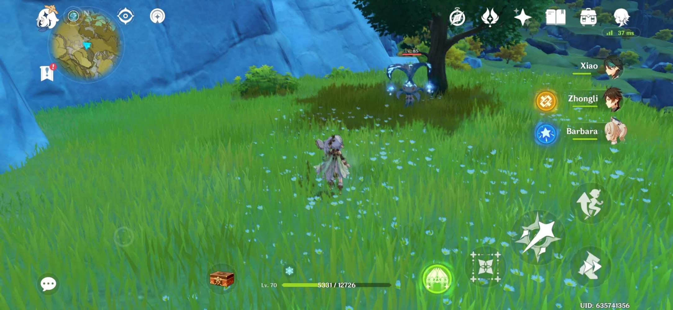 Nahida sees though Whopper Flowers Genshin Impact | HoYoLAB