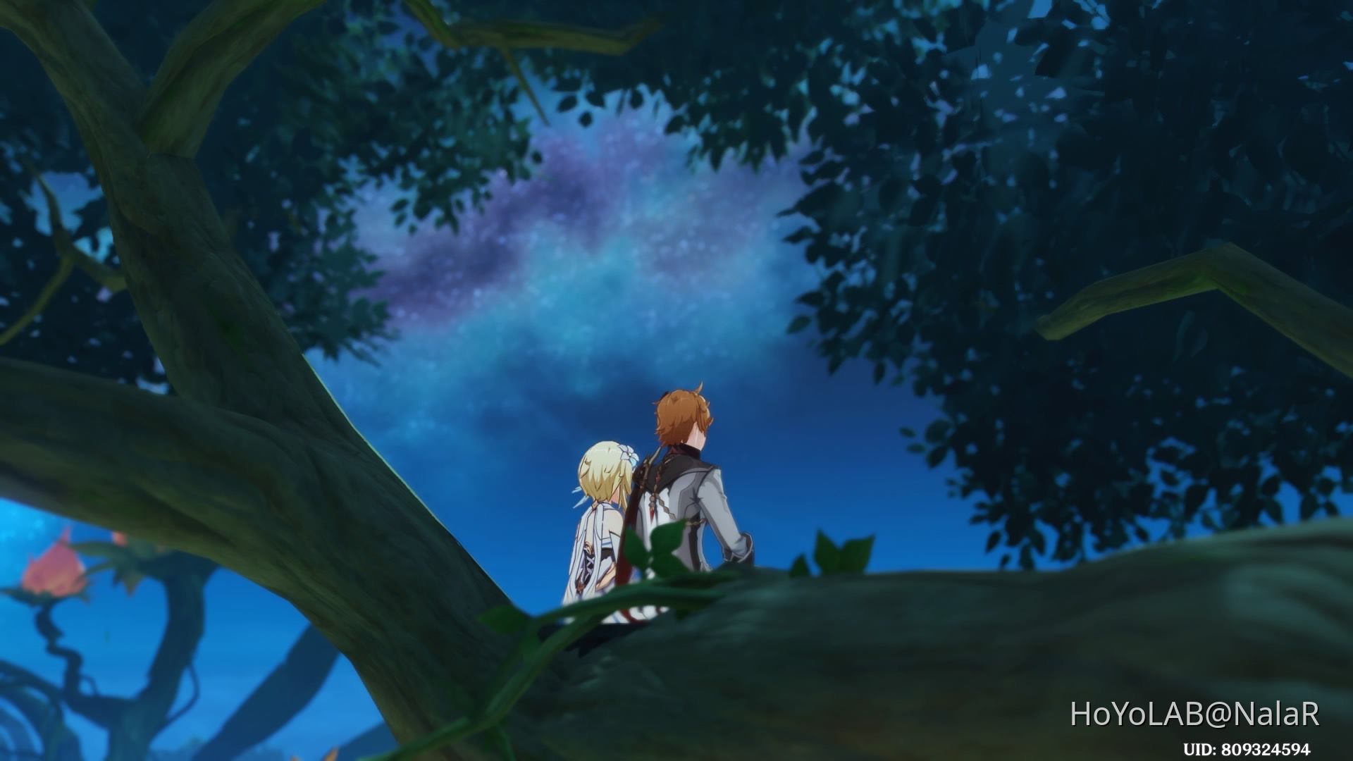 Chilumi Genshin Impact | HoYoLAB