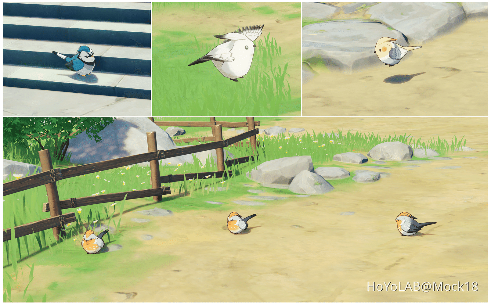 My Favorite Animal Encounter Genshin Impact | HoYoLAB