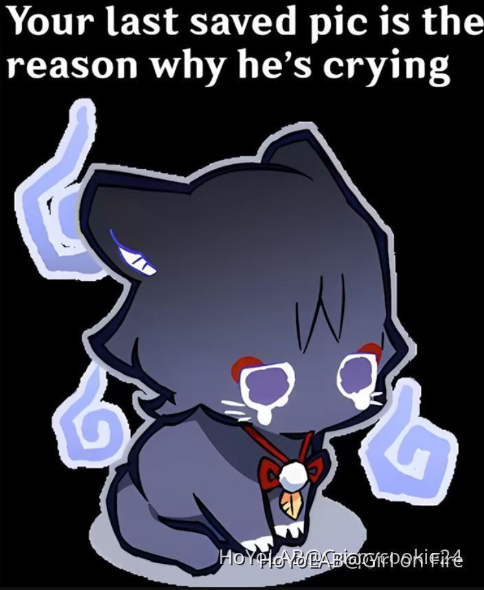 the reason why cat wanderer is crying- Genshin Impact | HoYoLAB
