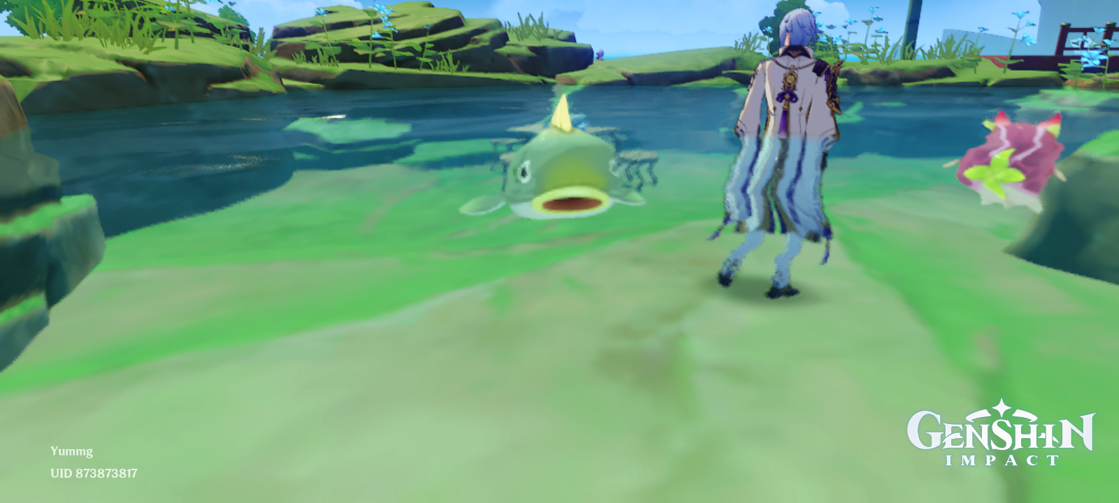 my beloved fish Genshin Impact | HoYoLAB