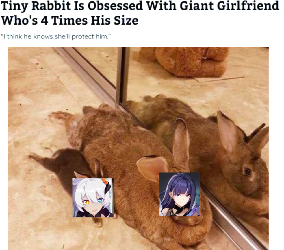 kiana and Mei meme Honkai Impact 3rd | HoYoLAB