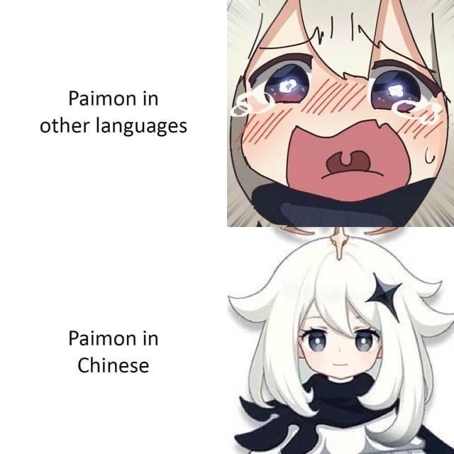 what language is your Paimon? Genshin Impact | HoYoLAB