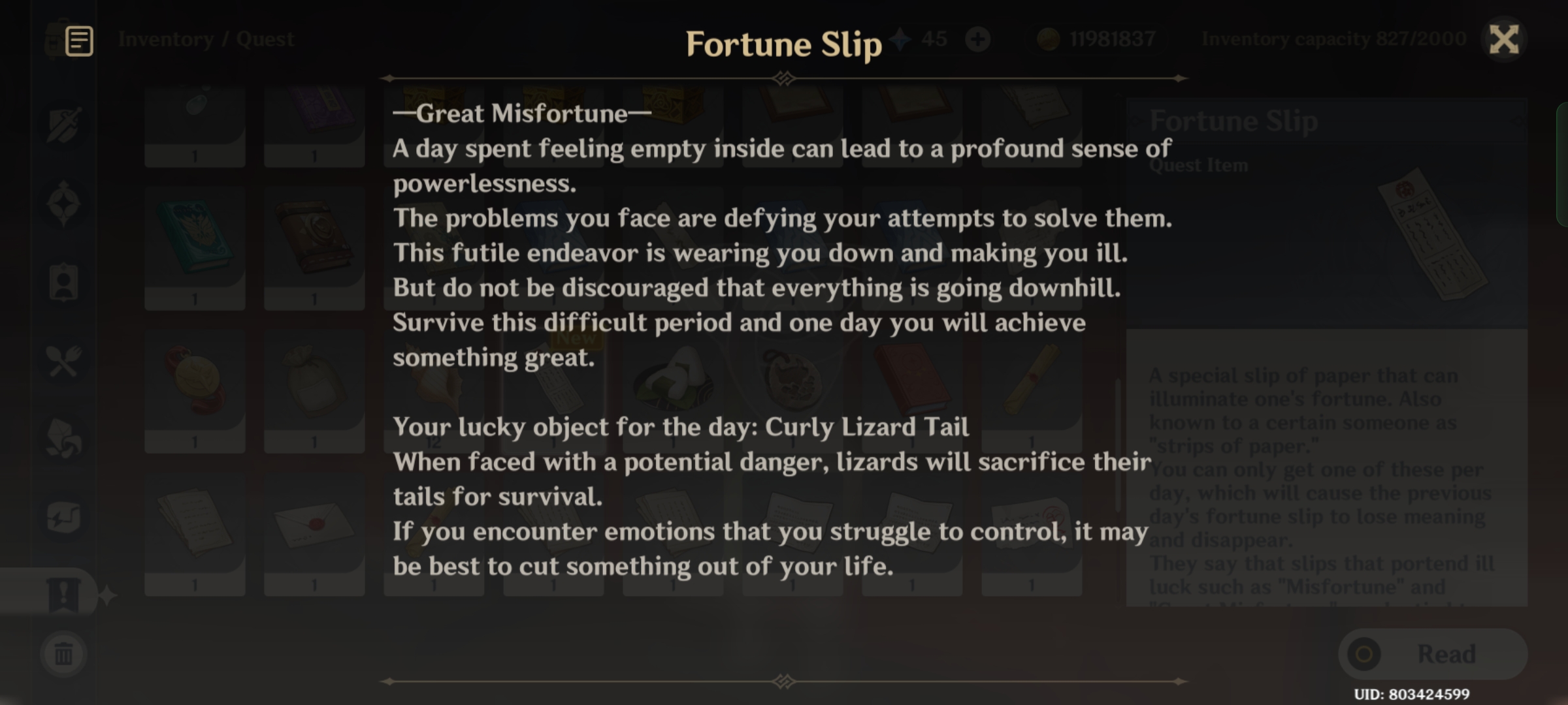 Another "Great Misfortune" Incident Genshin Impact | HoYoLAB