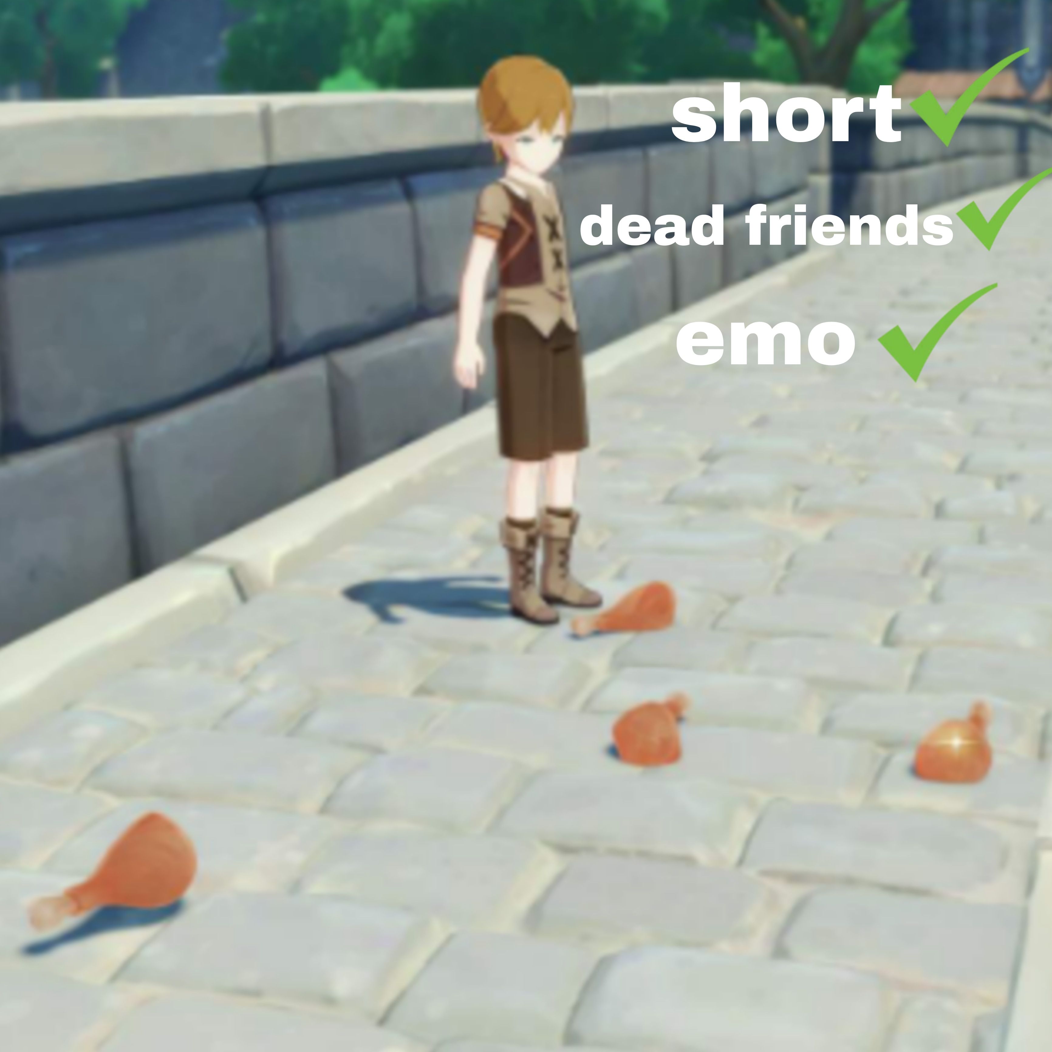 Why Timmie should get an anemo vision: Genshin Impact | HoYoLAB