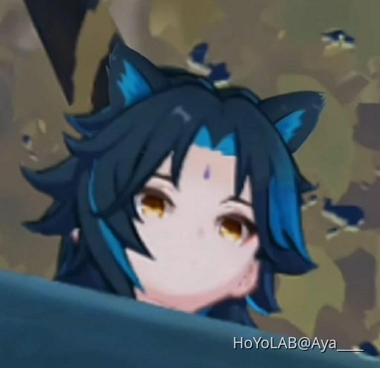 adeptus meow Genshin Impact | HoYoLAB