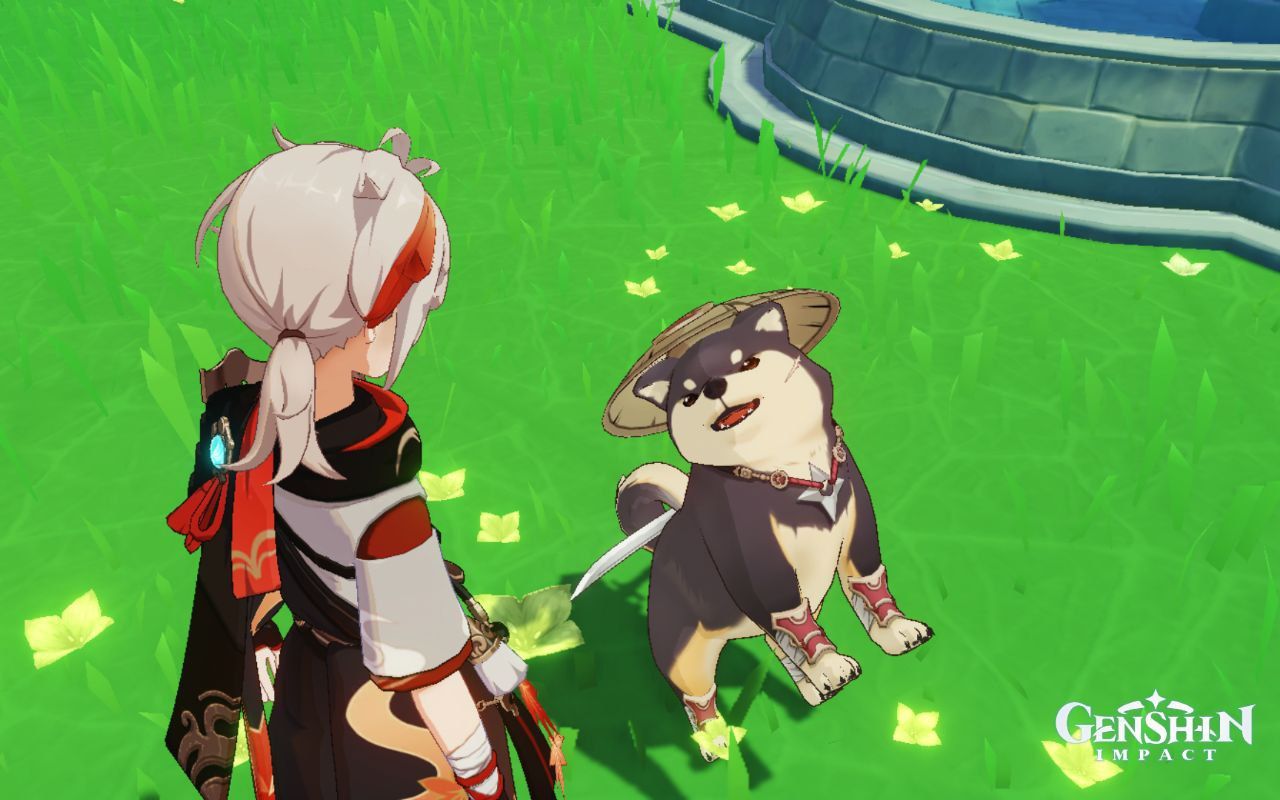 That Time A Dog Was Excited To Meet Me Genshin Impact | HoYoLAB
