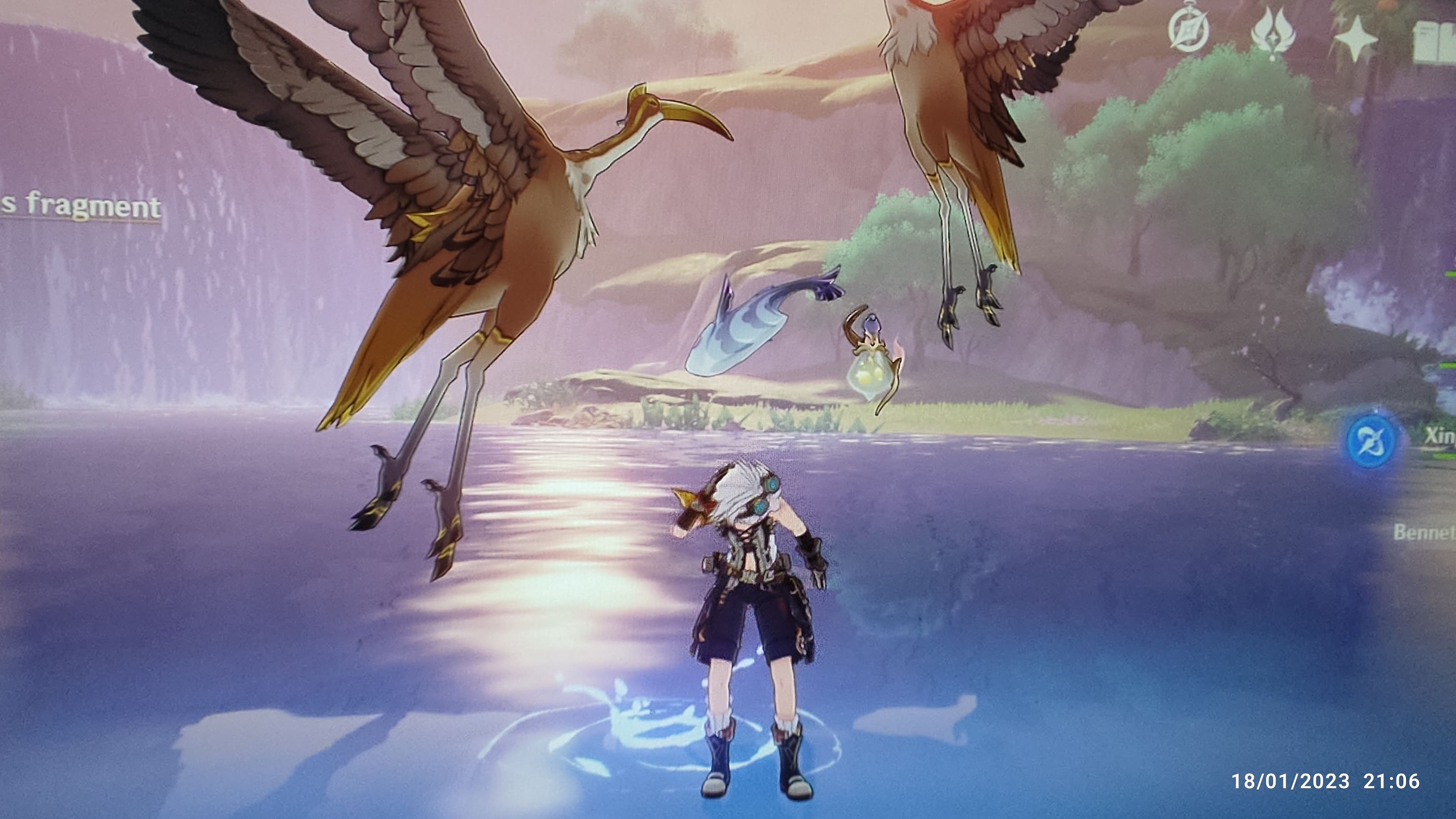 fish slap Genshin Impact | HoYoLAB