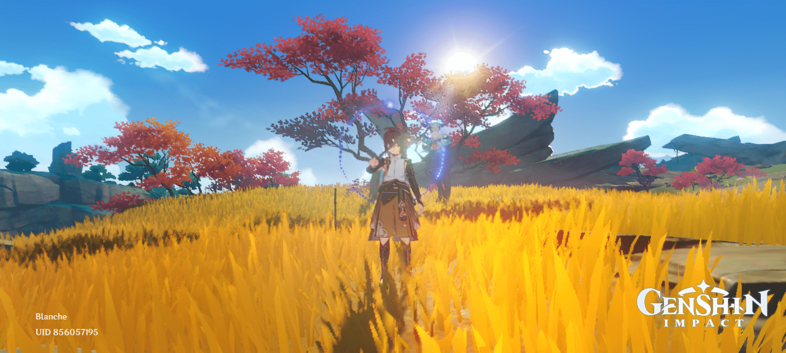 Golden Field, Red Maple Leaves Genshin Impact | HoYoLAB