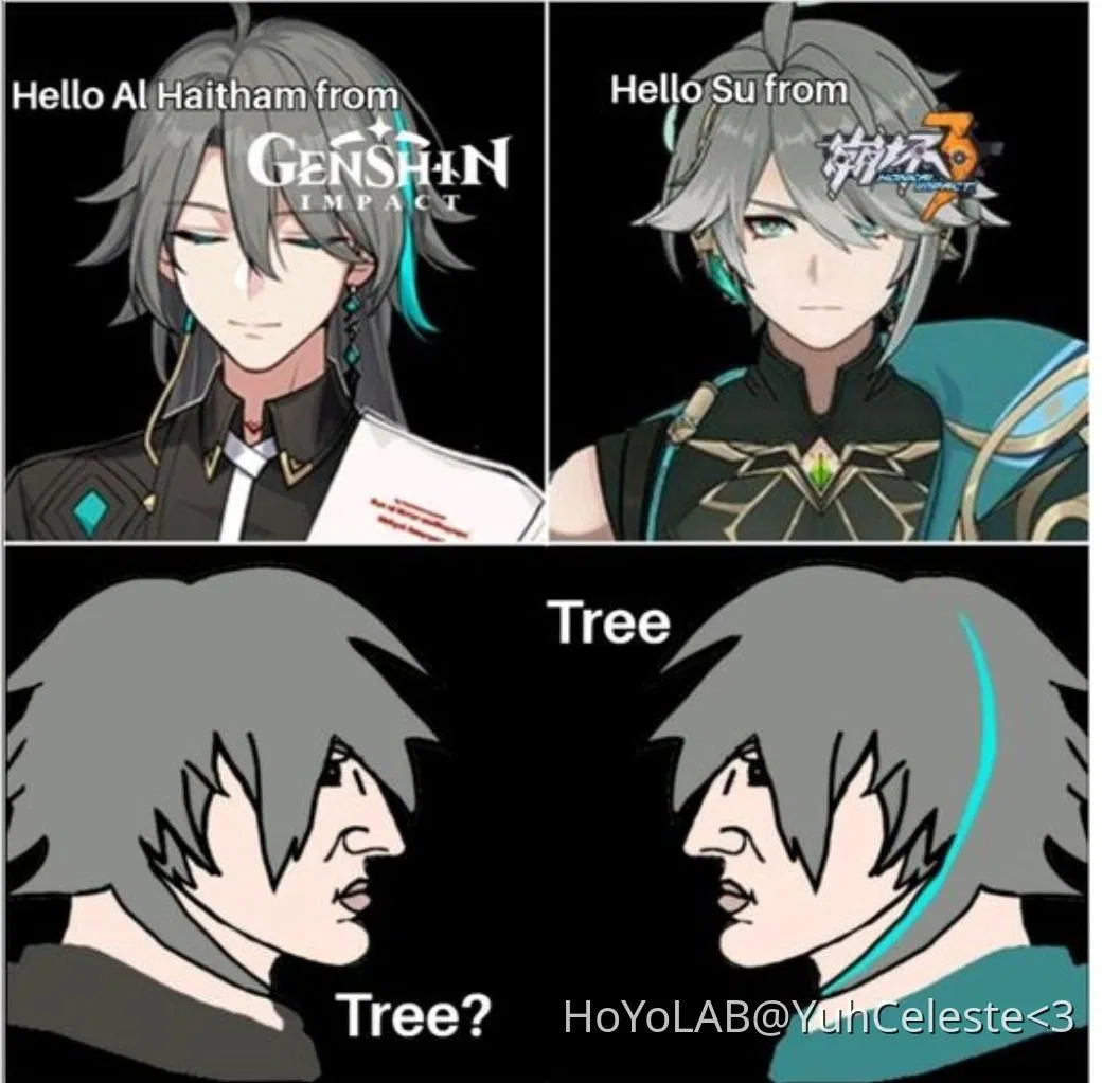 Alhaitham Memes To Laugh Knowing You Are Broke And Can't Pull For ...