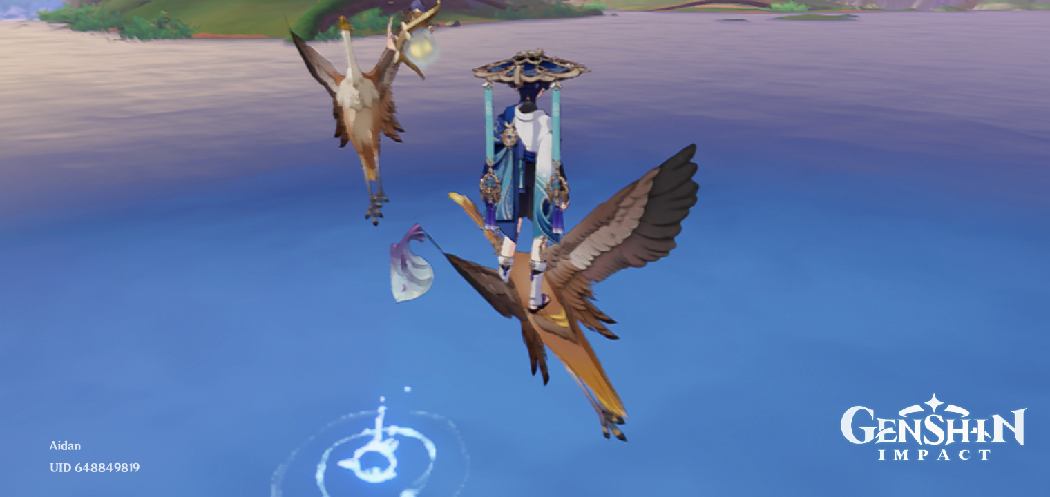 im on a bird 😂 Genshin Impact | HoYoLAB