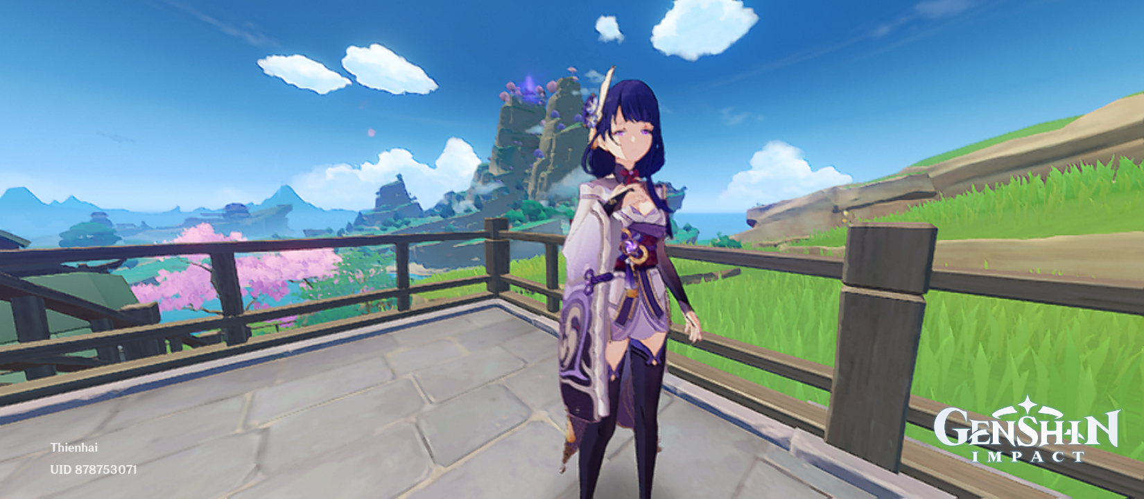 Raiden Genshin Impact | HoYoLAB