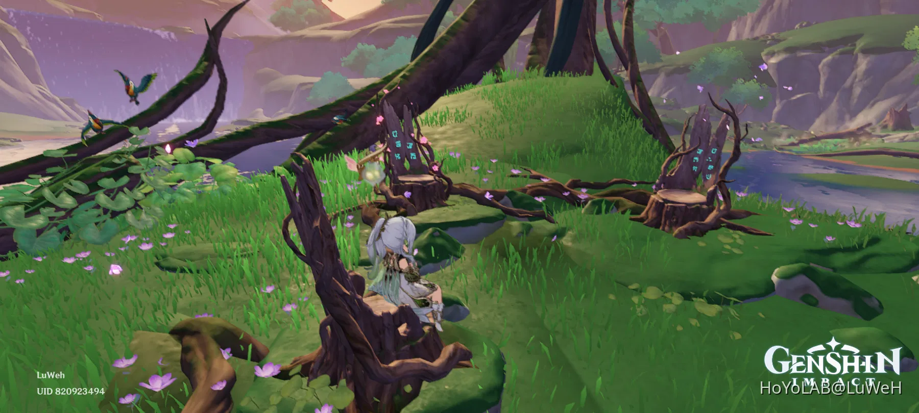 Sands and Deepwood Memories Genshin Impact | HoYoLAB