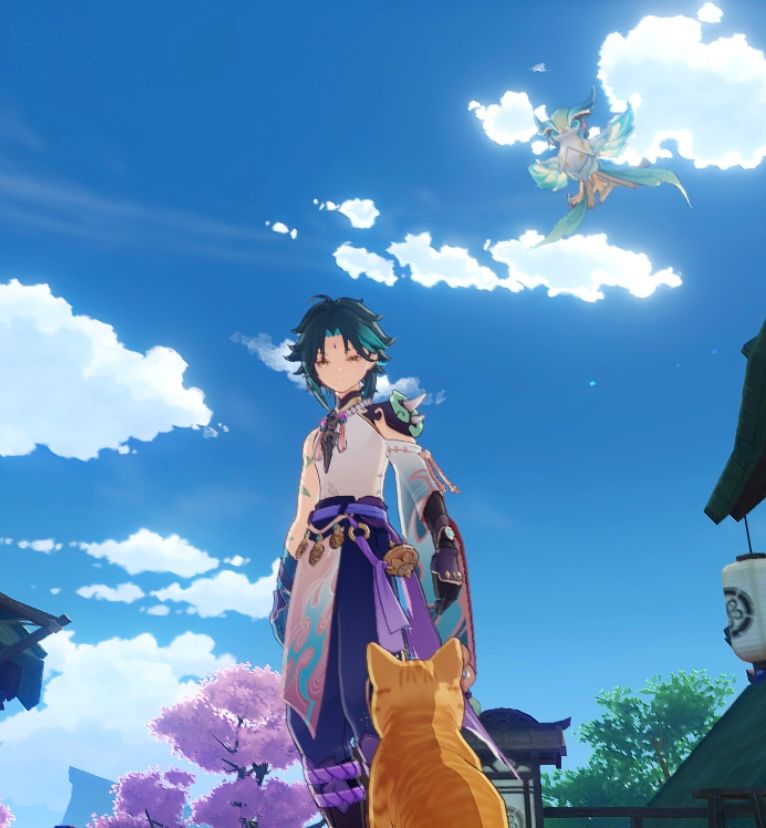 Xaio vs cat Genshin Impact | HoYoLAB