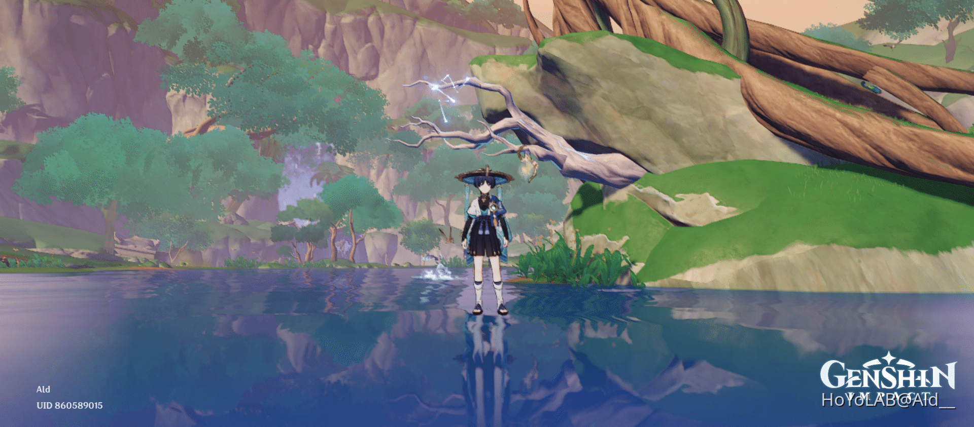 Ancient White Tree and The Withered Tree on Eternal Oasis Genshin ...