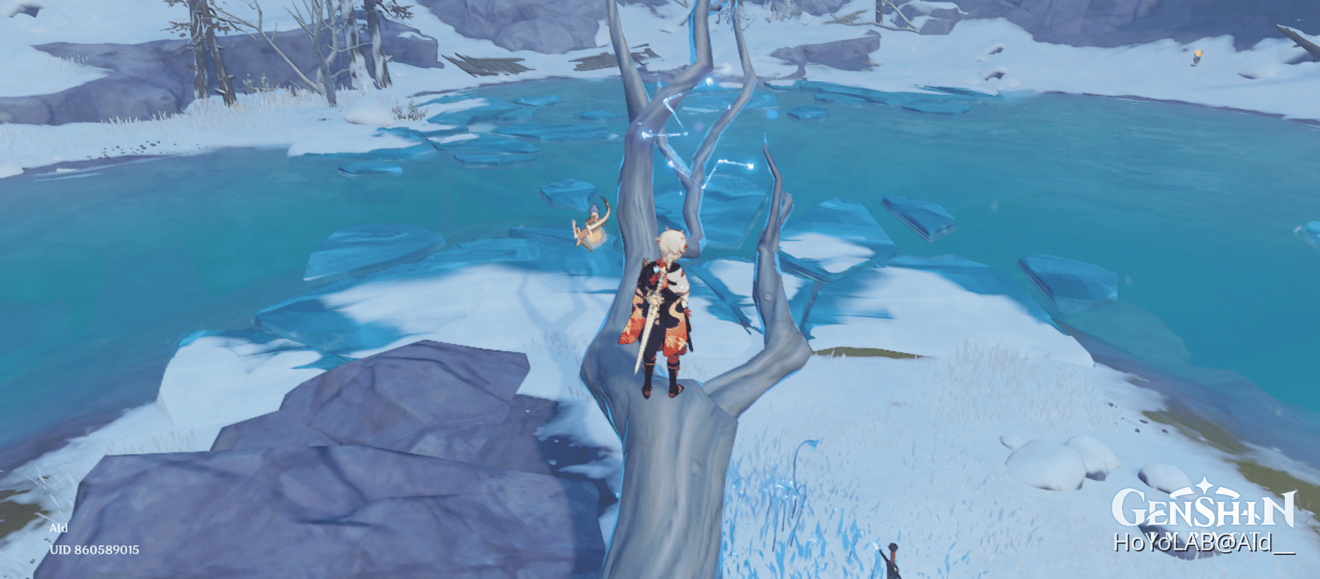 Ancient White Tree and The Withered Tree on Eternal Oasis Genshin ...