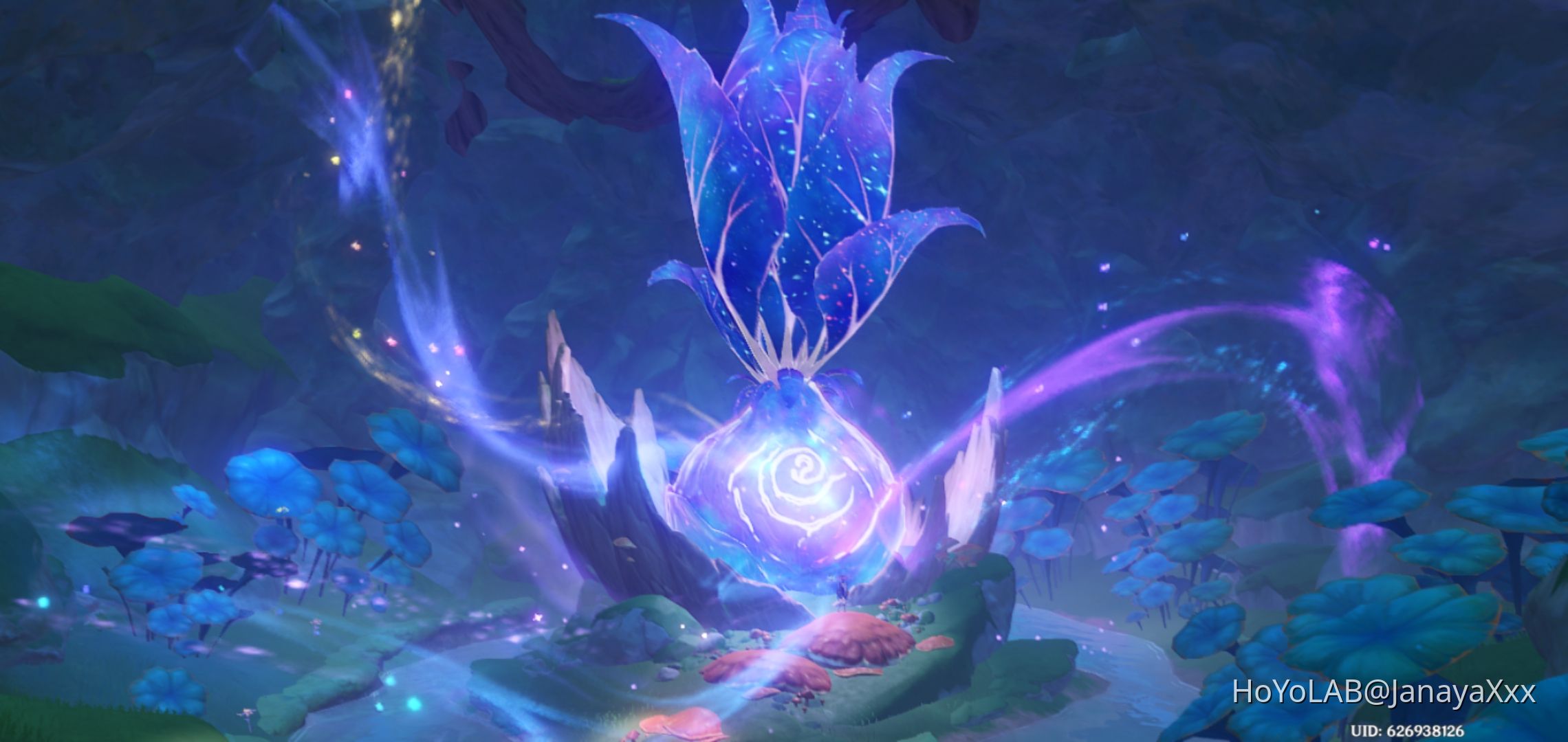 Vanarana's Favor 💮 Level 38 Genshin Impact | HoYoLAB