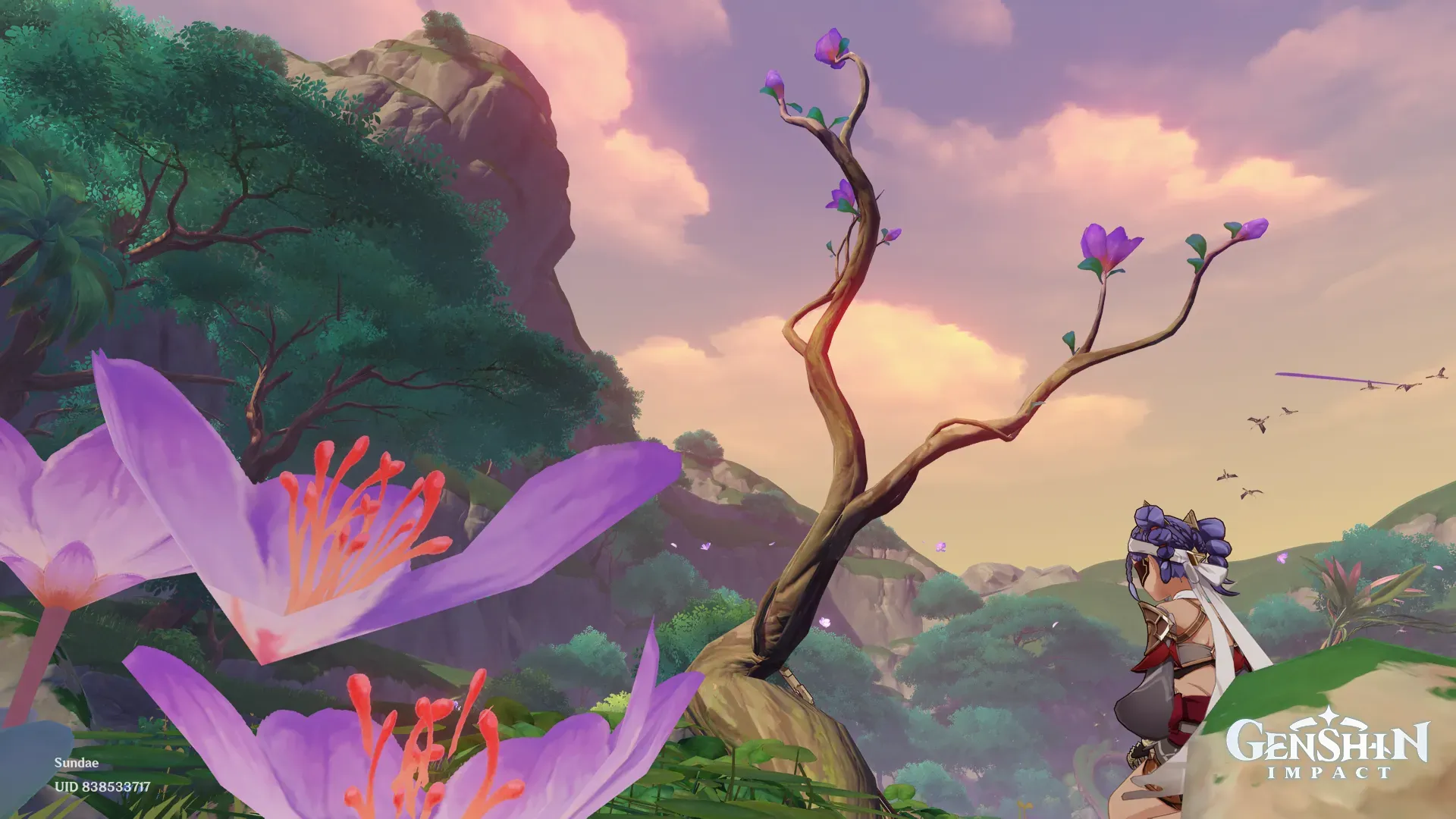 Jeht Genshin Impact | HoYoLAB