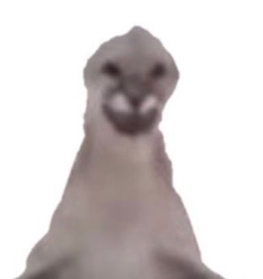 Yippee Genshin Impact | HoYoLAB