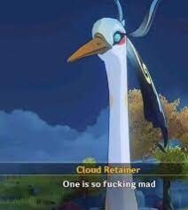 Cloud Retainer upon Paimon calling her “That Illuminated Bird”: Genshin ...