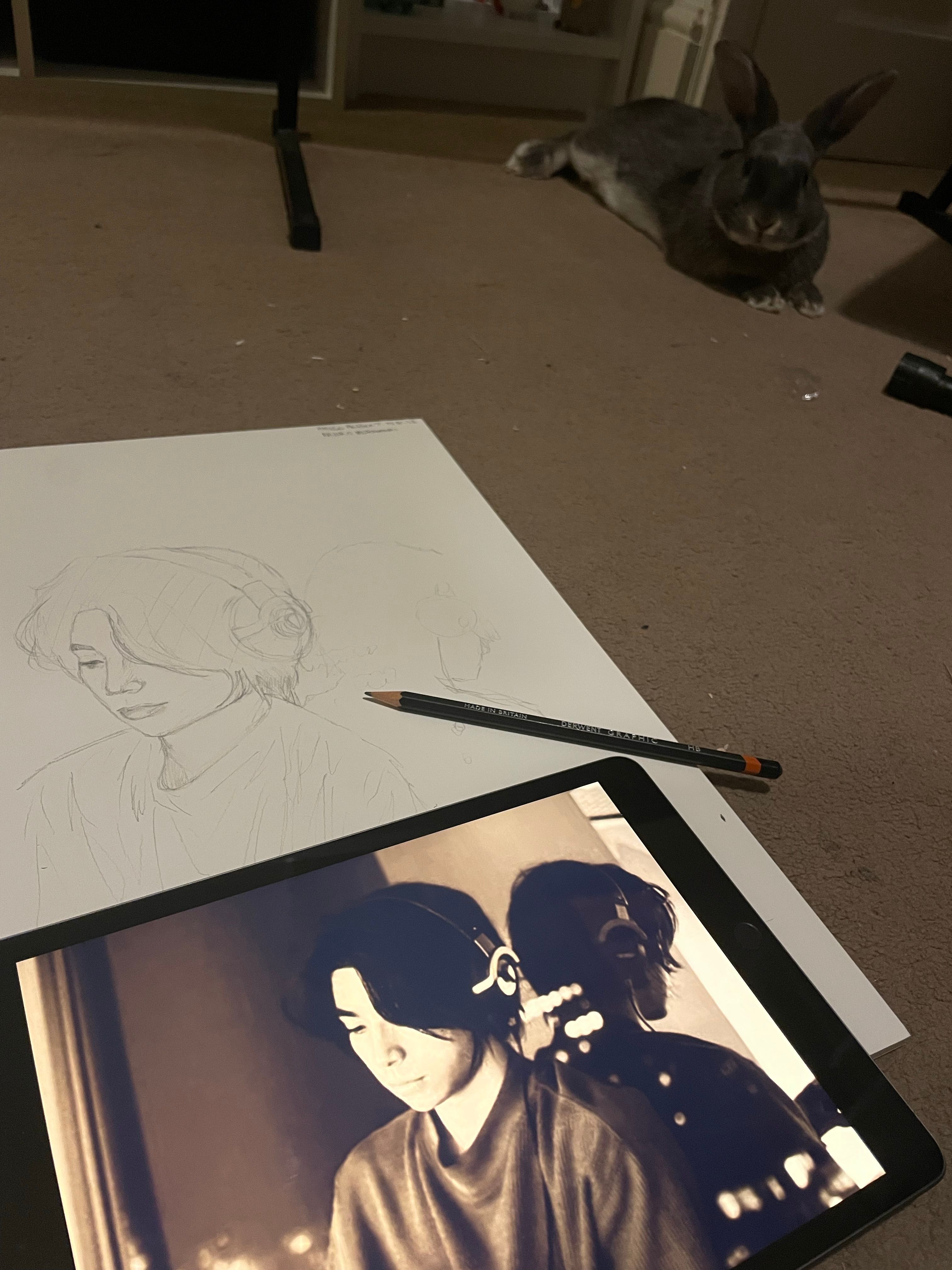 Albedo the rabbit Genshin Impact | HoYoLAB