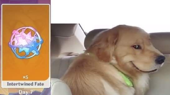 another pull for qiqi Genshin Impact | HoYoLAB