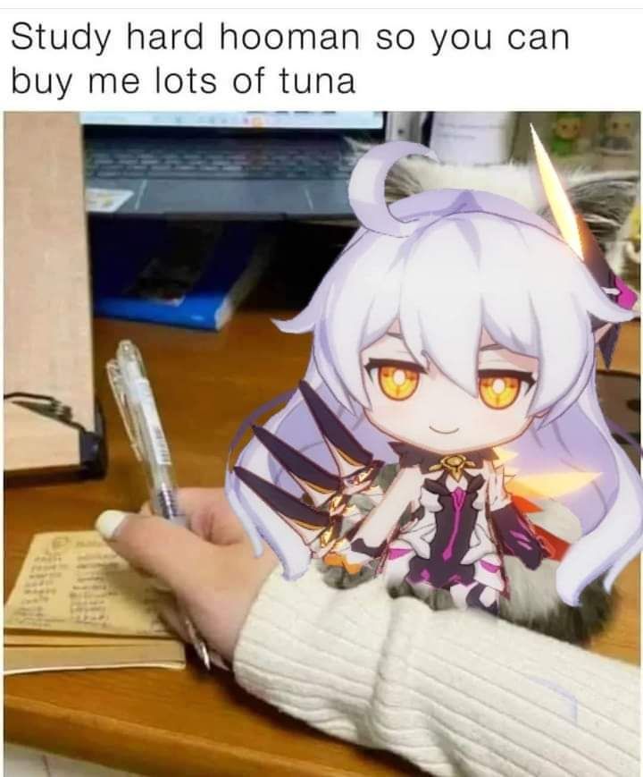 The game HI3 was my Inspiration during my College days Honkai Impact ...