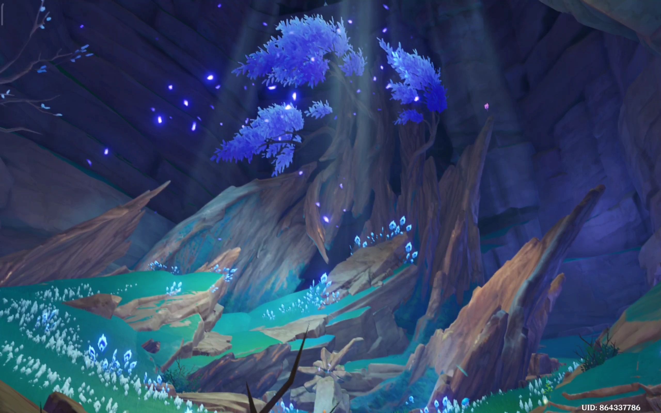 Perch Tree Genshin Impact | HoYoLAB