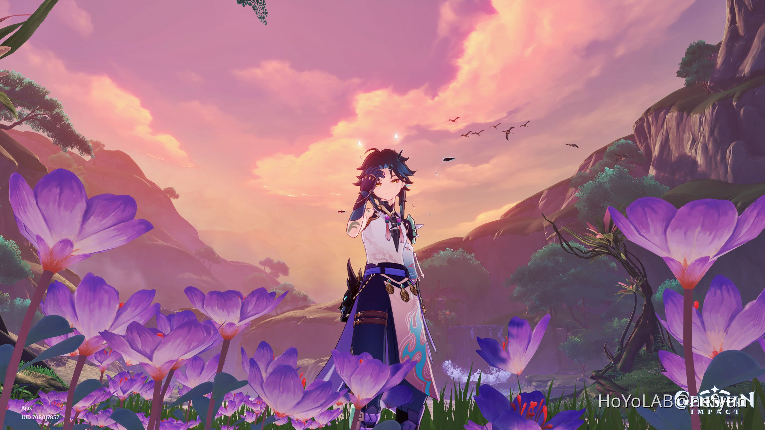 This place is beautiful !! (Eternal Oasis) Genshin Impact | HoYoLAB