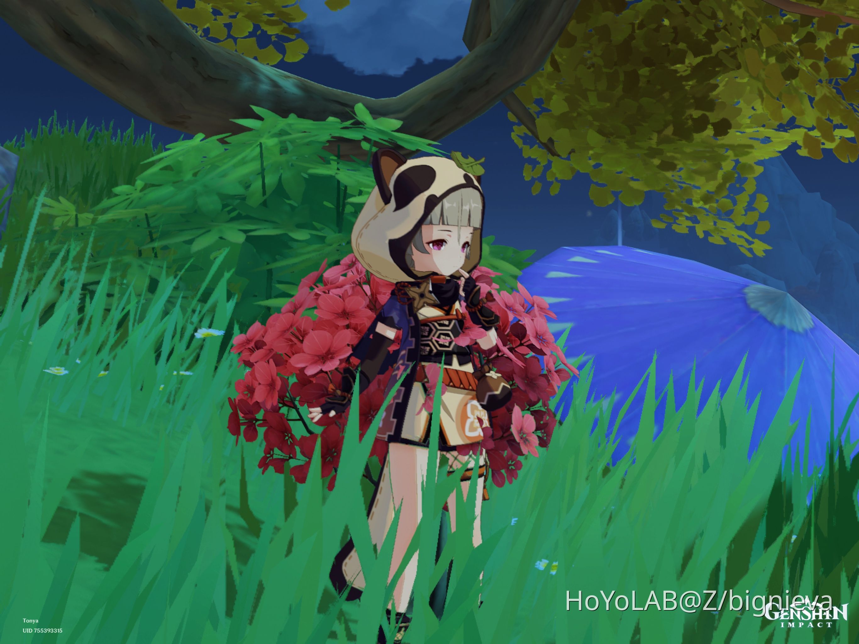 I love Sayu Genshin Impact | HoYoLAB